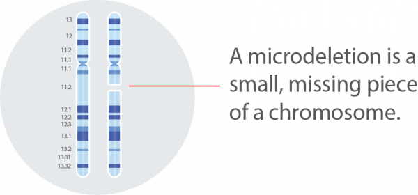 Non-Invasive Prenatal Testing – LifeLabs Genetics